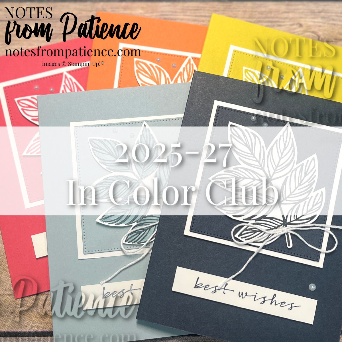 2025-2027 In Color Club Is Here!