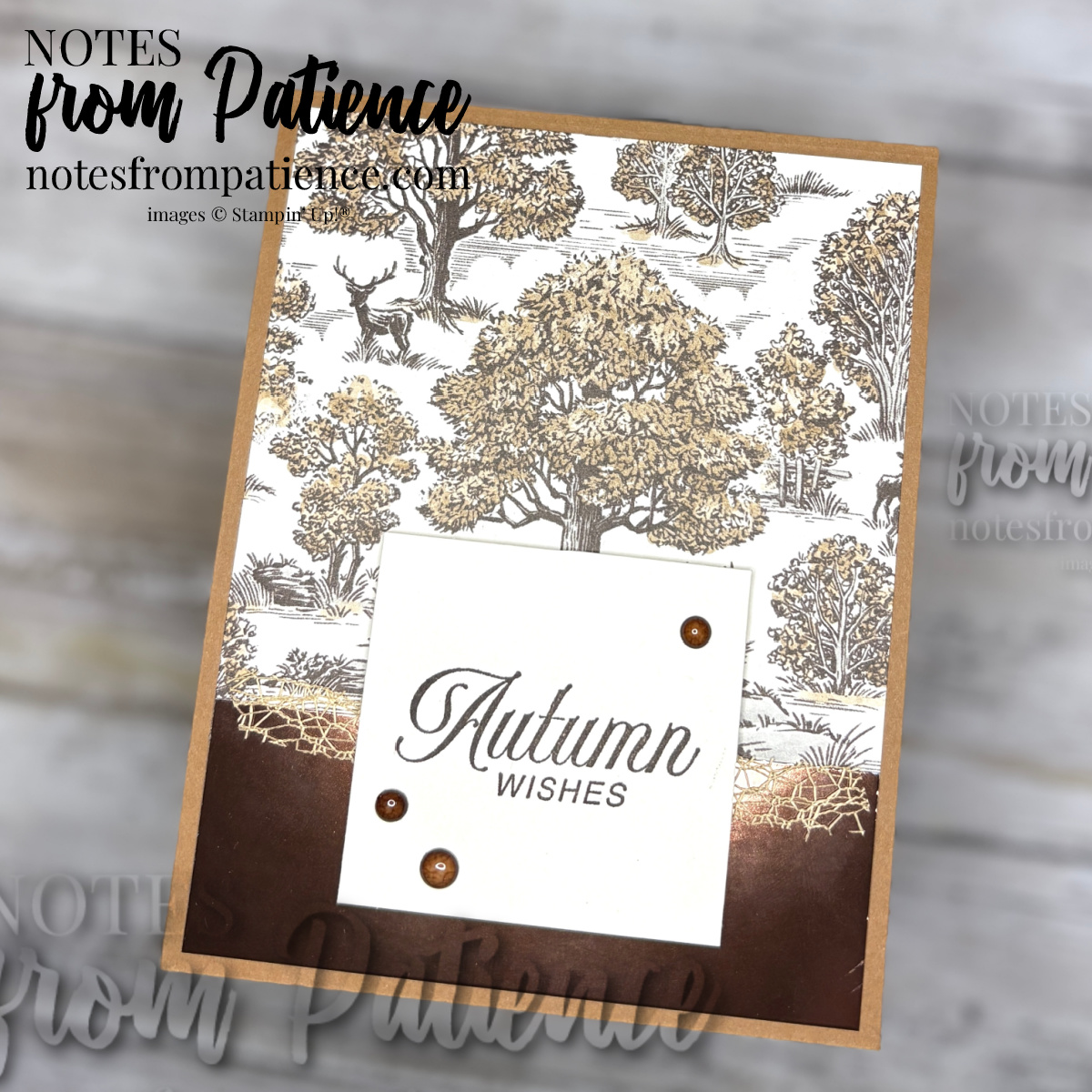 Stampin’ Up! Autumn Toile Popup card