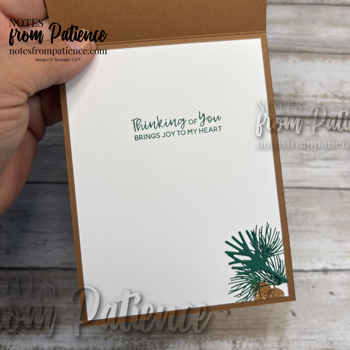 Stampin’ Up! Branching Out Hello Friend